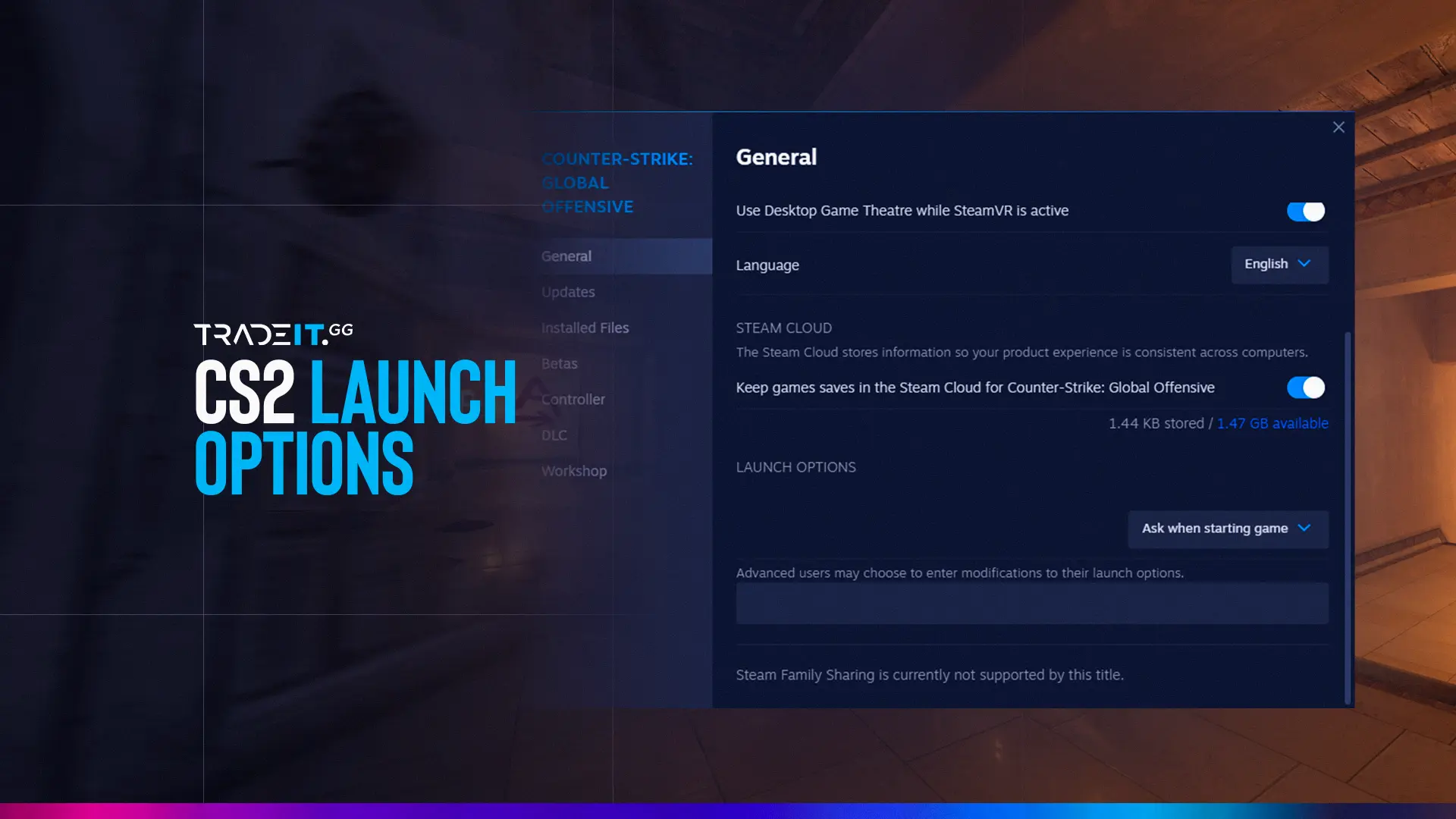 Best CS2 Launch Options for Steam - Skin.Trade - Buy, Sell & Trade CS2 ...